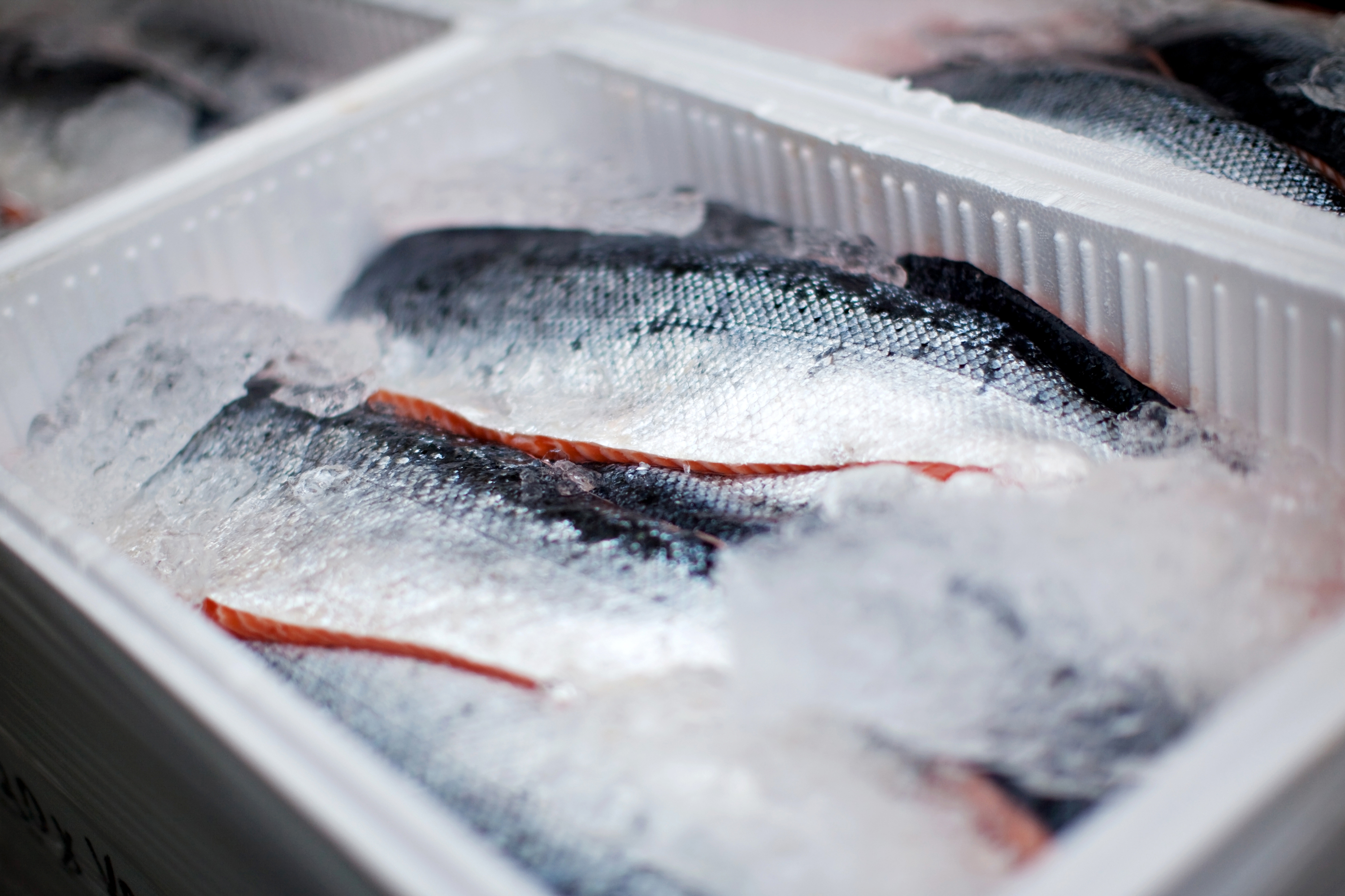 Marine ingredients provide essential nutrients for human health